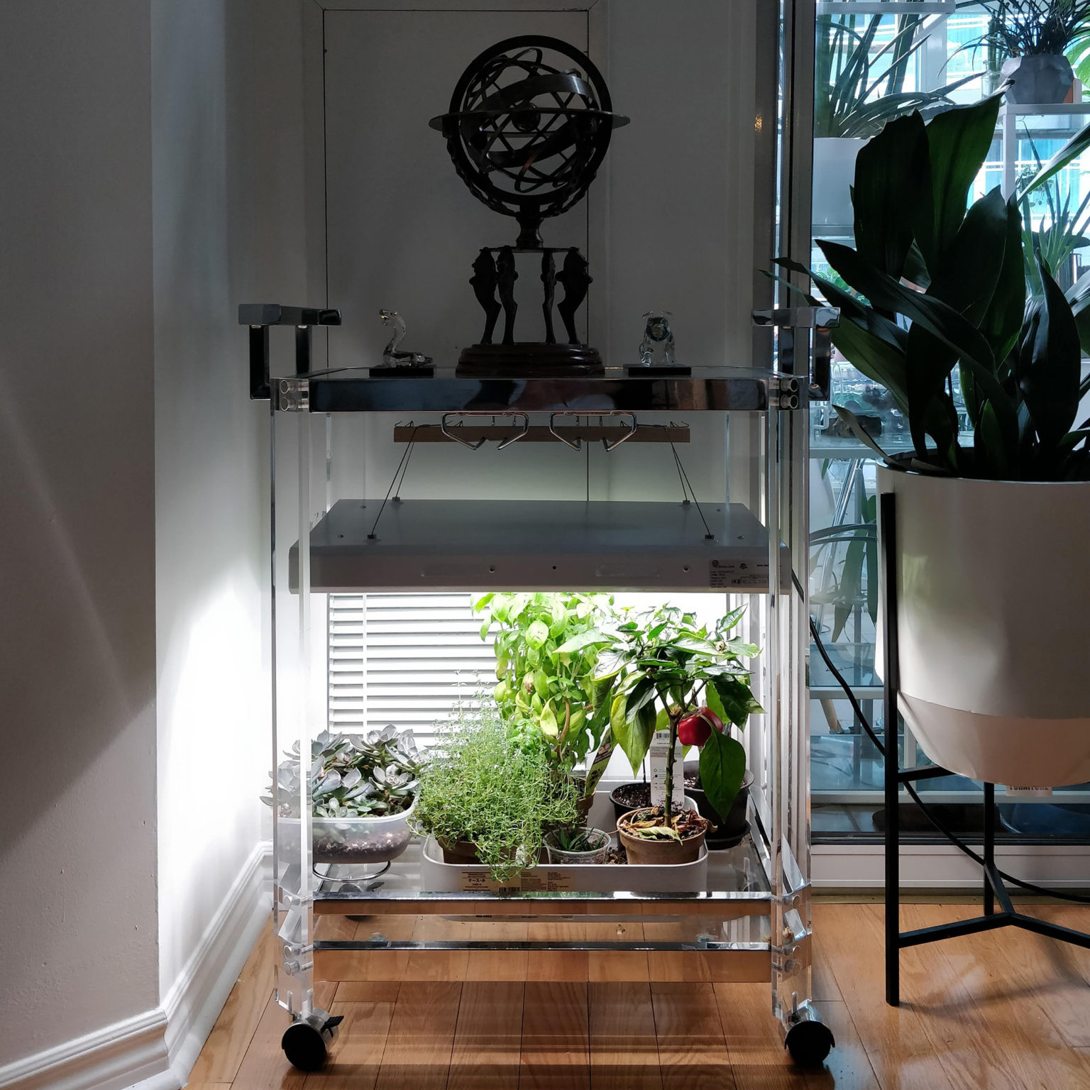 Bar Cart Grow Op: Active Grow LED Review – House Plant Journal