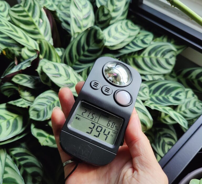 LTH Meter – House Plant Journal
