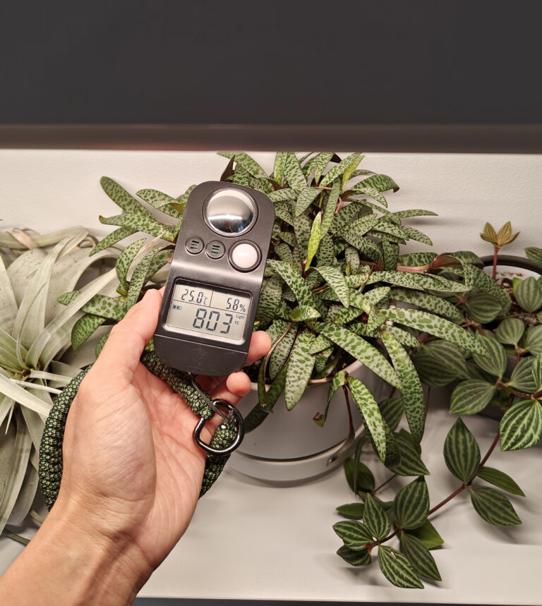 Review: Soltech Grove LED Bar Light – House Plant Journal