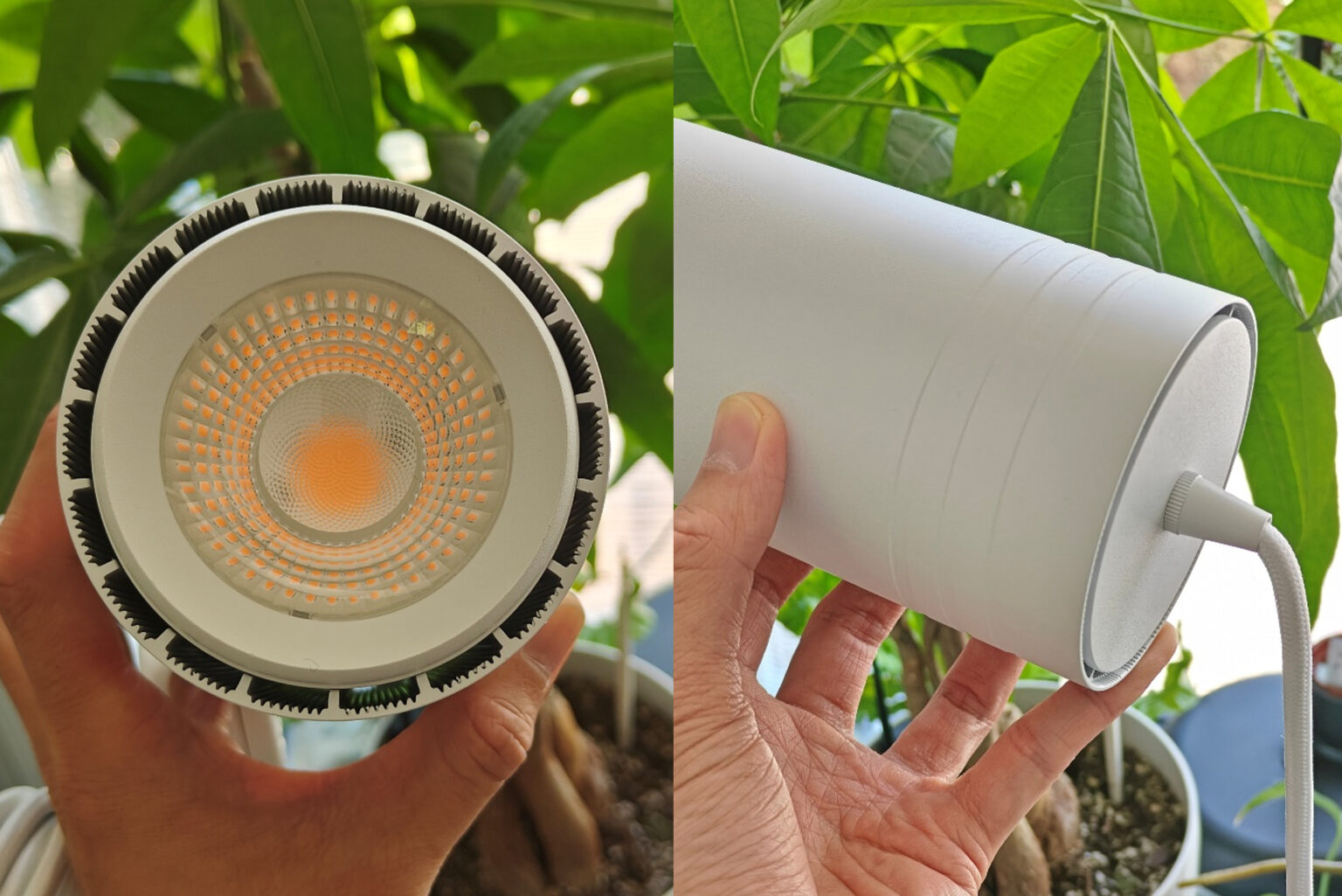 Review: Soltech Aspect Gen2 – House Plant Journal